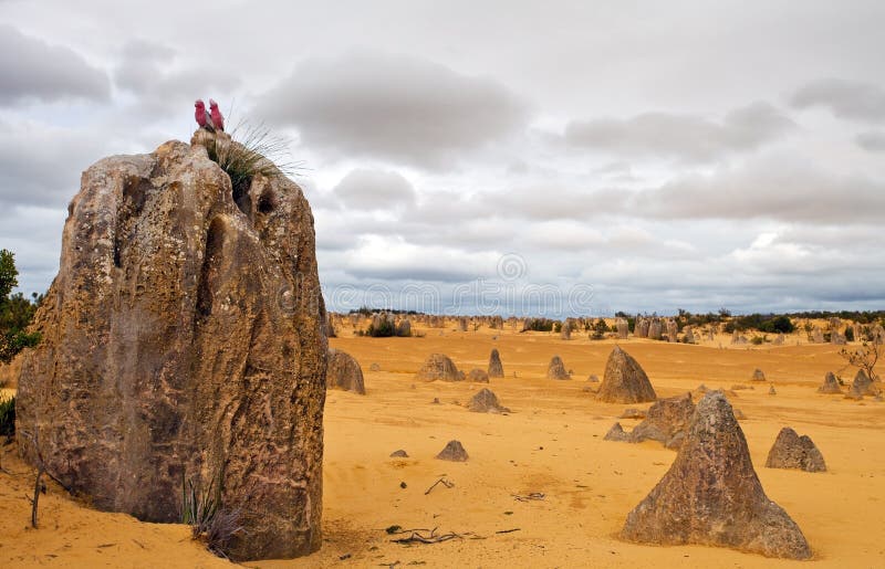 Pinnacles desert stock image. Image of land, pinnacles - 26860033