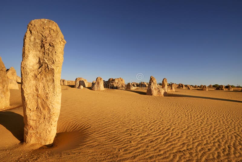 Pinnacles Desert stock image. Image of sightseeing, outback - 631889