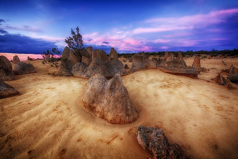 Pinnacles at the Pinnacles Desert Stock Photo - Image of sunrise ...