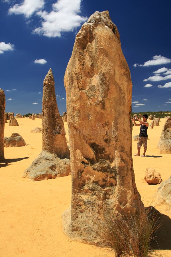 Pinnacles Desert,Western Australia Stock Photo - Image of national ...