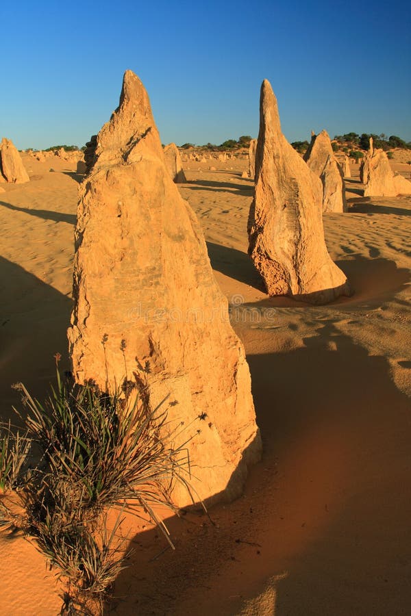 Pinnacles Desert,Western Australia Stock Photo - Image of formation ...