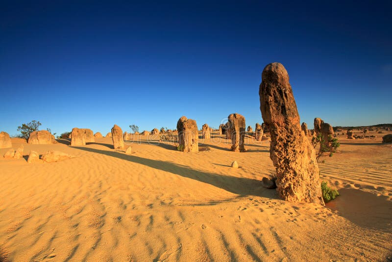 Pinnacles Desert,Western Australia Stock Image - Image of mineral ...