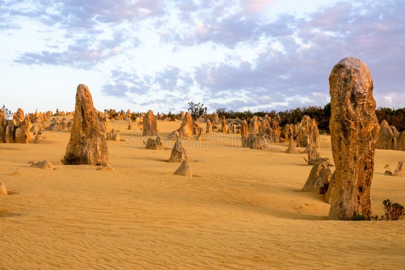 Pinnacles Desert in Western Australia Stock Image - Image of west ...