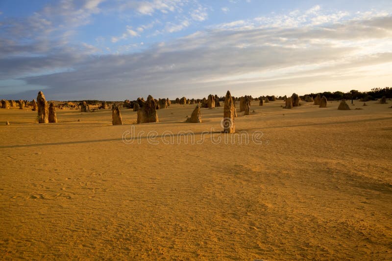 Pinnacles Sand Desert Western Australia Stock Image - Image of trees ...