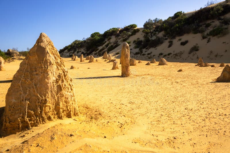 Pinnacles Sand Desert Western Australia Stock Photo - Image of western ...