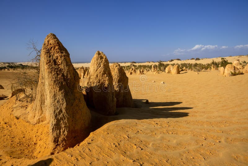 Pinnacles Sand Desert Western Australia Stock Photo - Image of ...