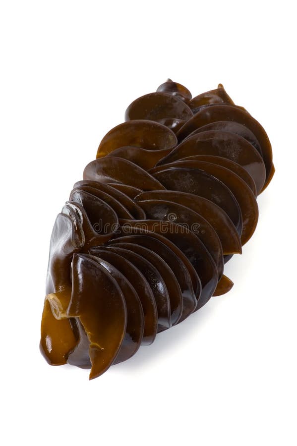 Pinnatifida Da Alga-Undaria De Mekabu Foto de Stock - Imagem de ...