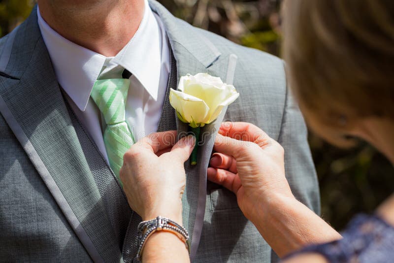 Pinning Boutineer on Groom stock photo. Image of boutineer - 40027392