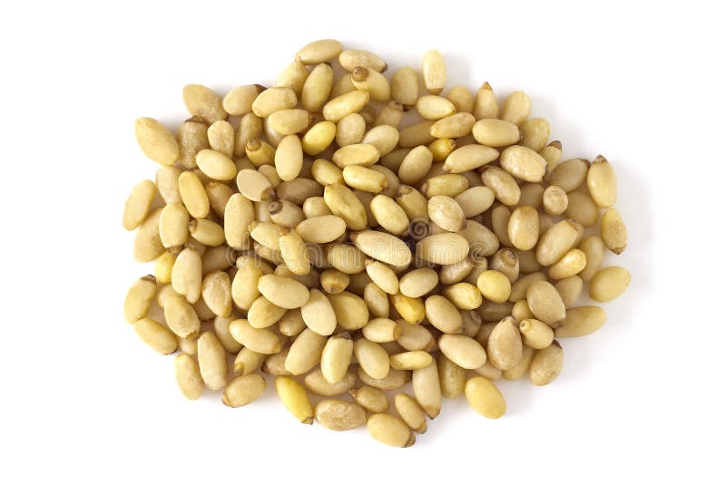 Pinoli fotografia stock. Immagine di secco, cottura, chiusura - 58884402