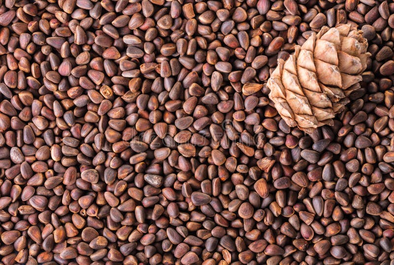 Pinoli E Primo Piano Della Pigna Immagine Stock - Immagine di sfondo ...