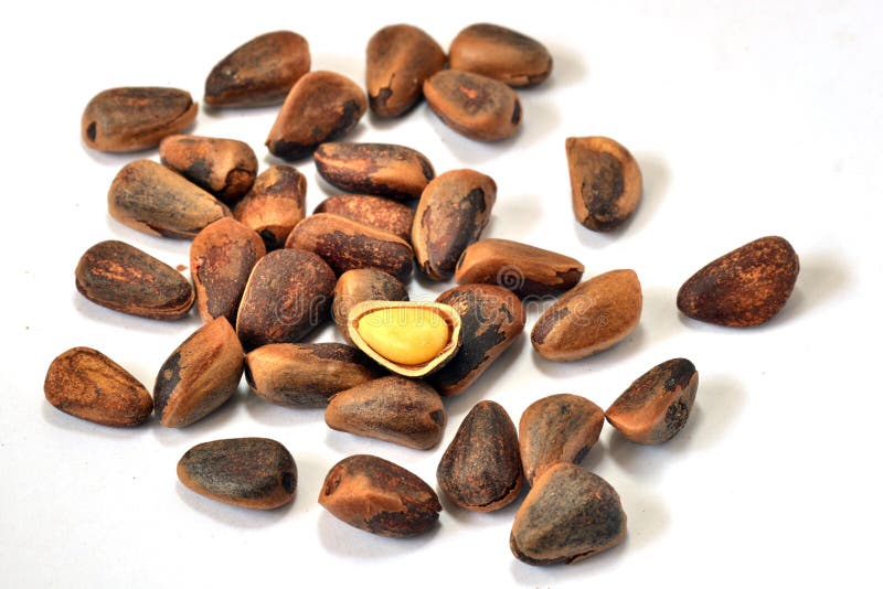 Pinolo Pinales fotografia stock. Immagine di frigga, frutta - 73401058