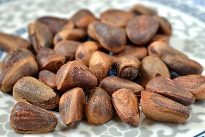 Pinolo Pinales fotografia stock. Immagine di frigga, frutta - 73401058