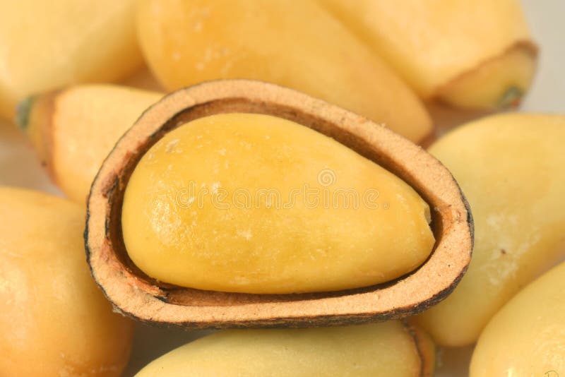 Pinolo Pinales fotografia stock. Immagine di frigga, frutta - 73401058