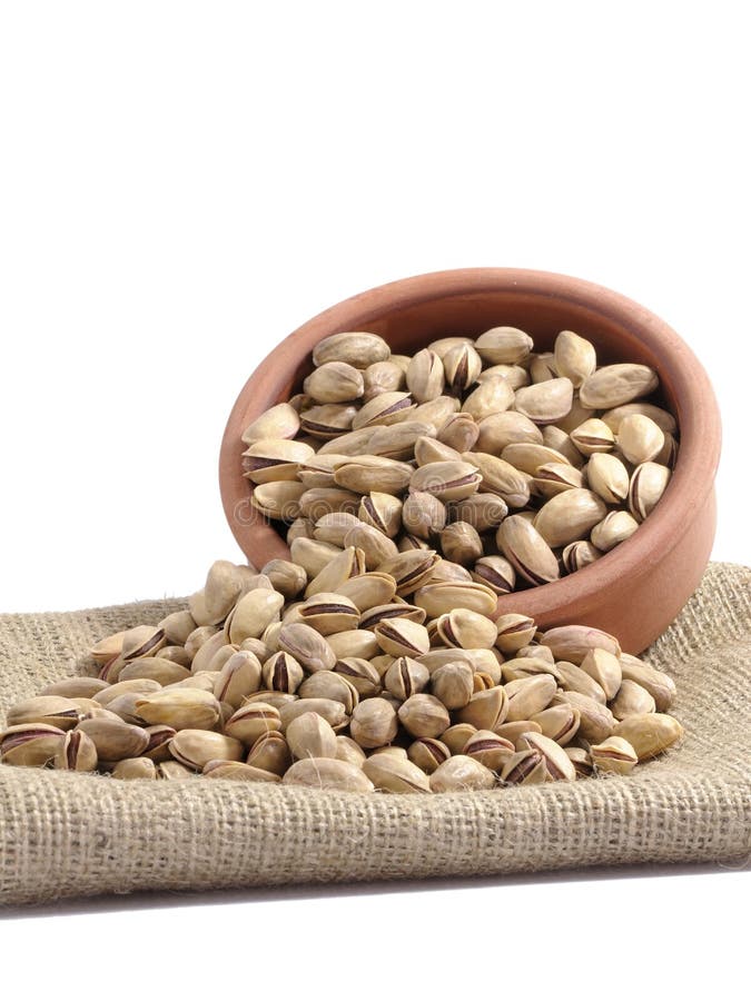 Pinon stock photo. Image of close, nuts, appetizers, enjoy - 19916734