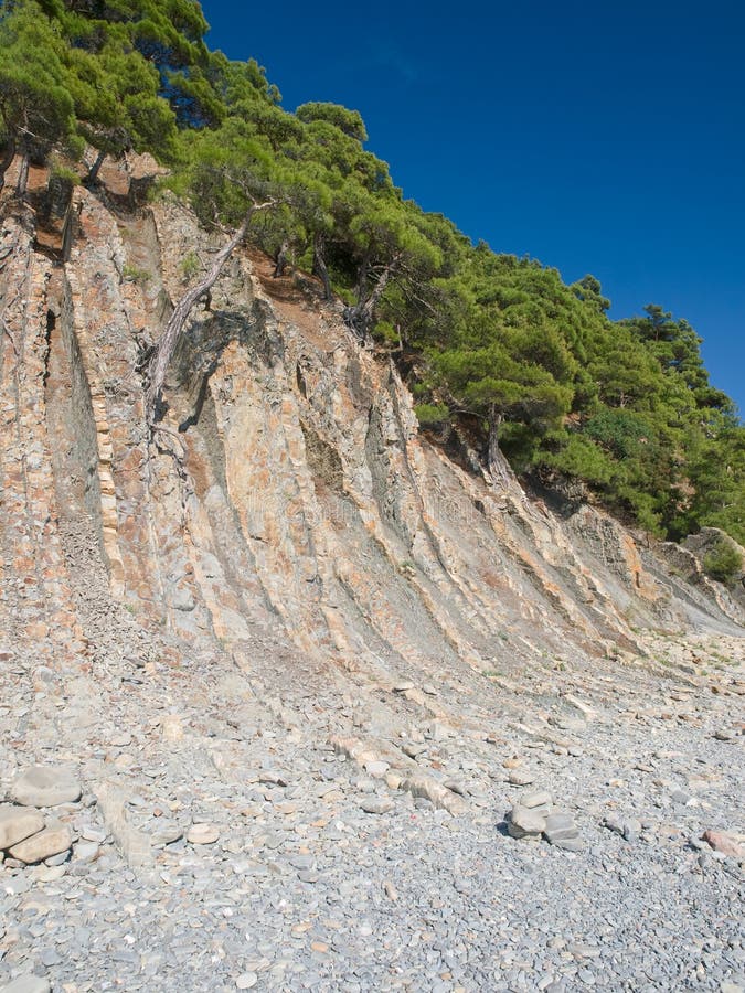 Pinos Y Paisaje De Las Rocas Imagen de archivo - Imagen de pico ...