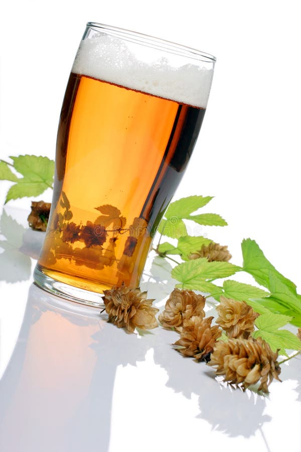 Pint stock image. Image of brew, entertainment, lager - 1448777