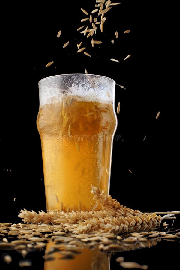 A Pint of Beer with Ears and Grains on Dark Background. Grains Fall ...