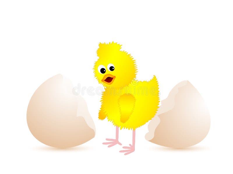 Pintainho ilustração do vetor. Ilustração de beira, mola - 24047284