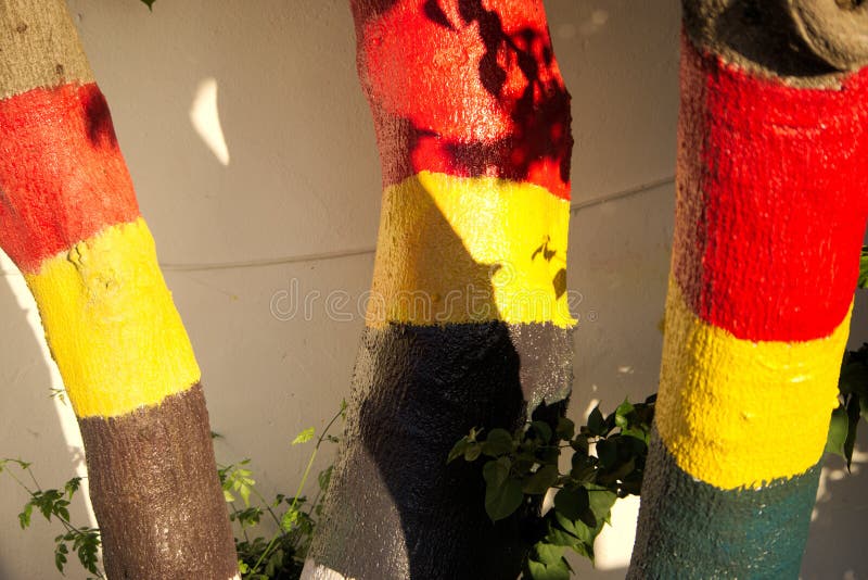 Pinte tree in three colors stock image. Image of tree - 325366665