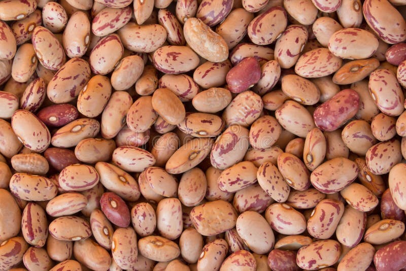 Pinto Beans stock photo. Image of group, cooking, frame - 77203640