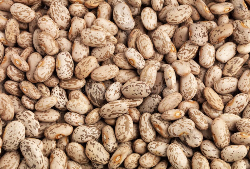 Pinto Beans stock image. Image of vegan, pile, texture - 45018145
