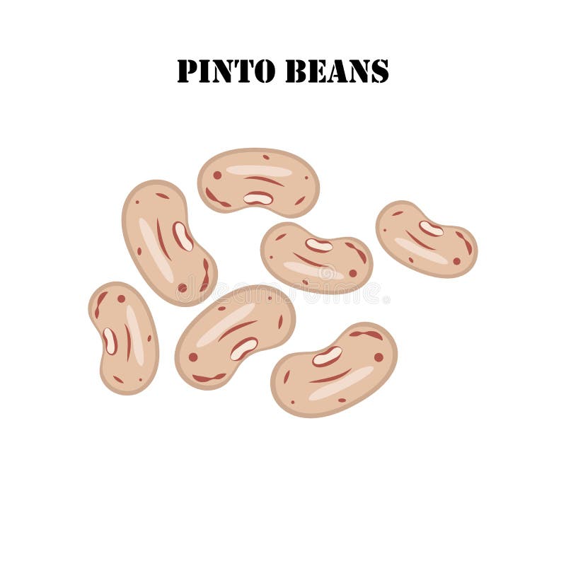 Pinto beans vector icons stock illustration. Illustration of care ...
