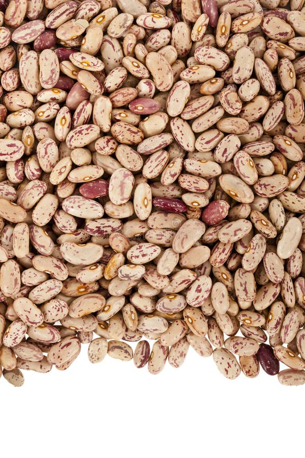 Pinto Beans or Mottled Beans Stock Photo - Image of leguminous, grains ...