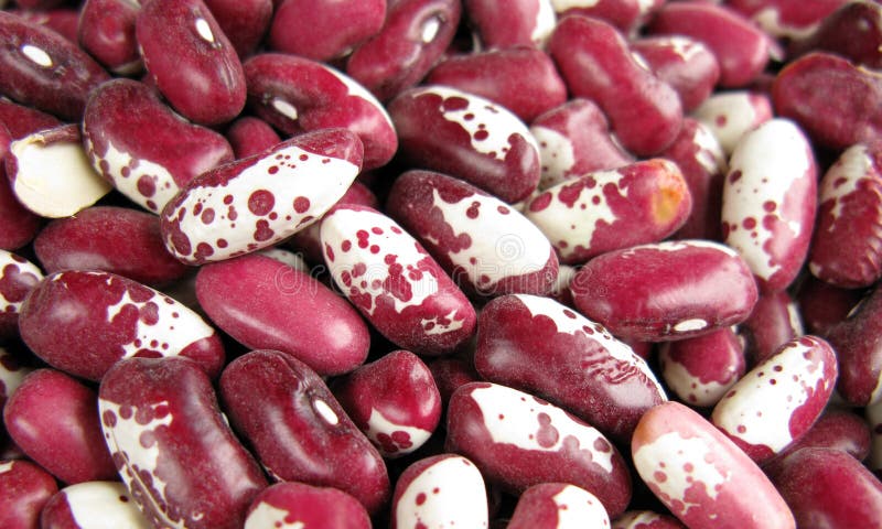 Pinto beans multicolor stock photo. Image of cowboy, beans - 12387228