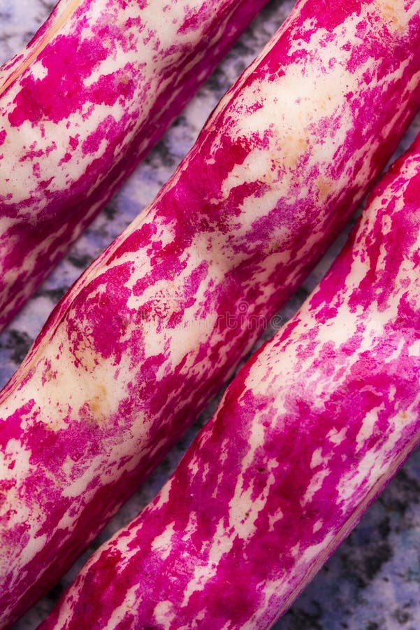 Pinto Beans, Pod in a Closeup Stock Photo - Image of vegetable, kitchen ...