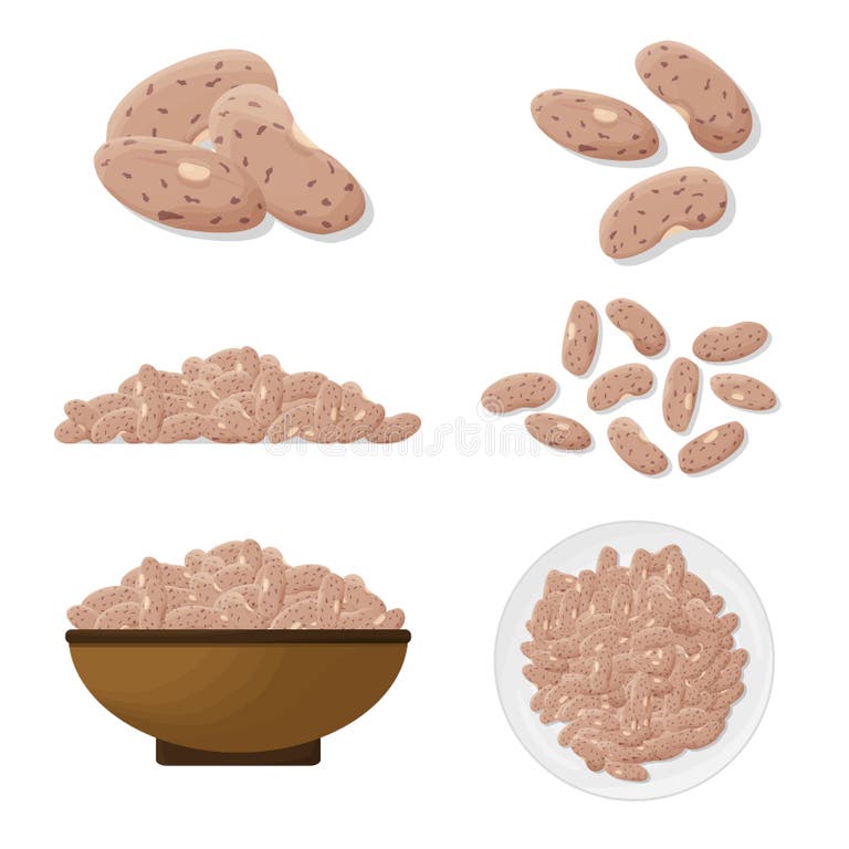 Pinto Beans Stock Illustrations – 455 Pinto Beans Stock Illustrations ...