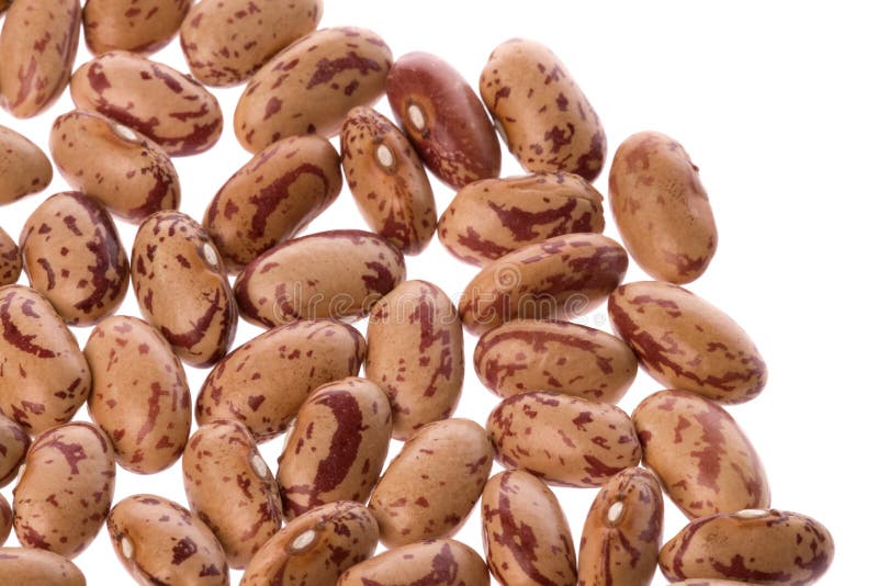 Pinto-Bohnen stockfoto. Bild von gesprinkelt, bohne, getrennt - 5945480