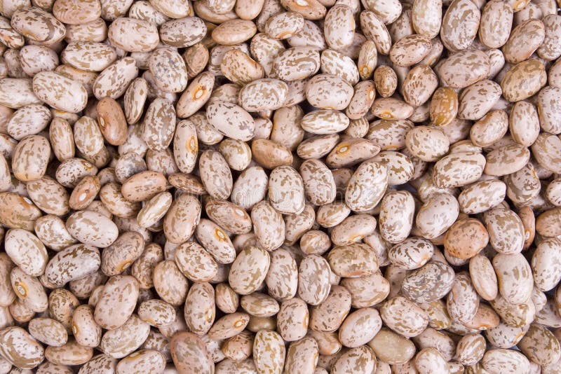 Pinto-Bohnen stockbild. Bild von hintergrund, bohne, impulse - 6665535