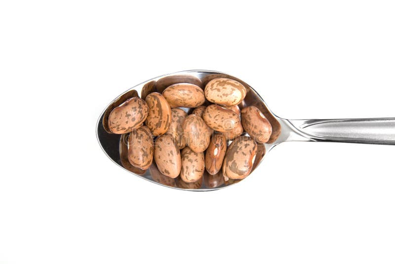 Pinto-Bohnen stockfoto. Bild von küken, hülsenfrucht, bauernhof - 7917768