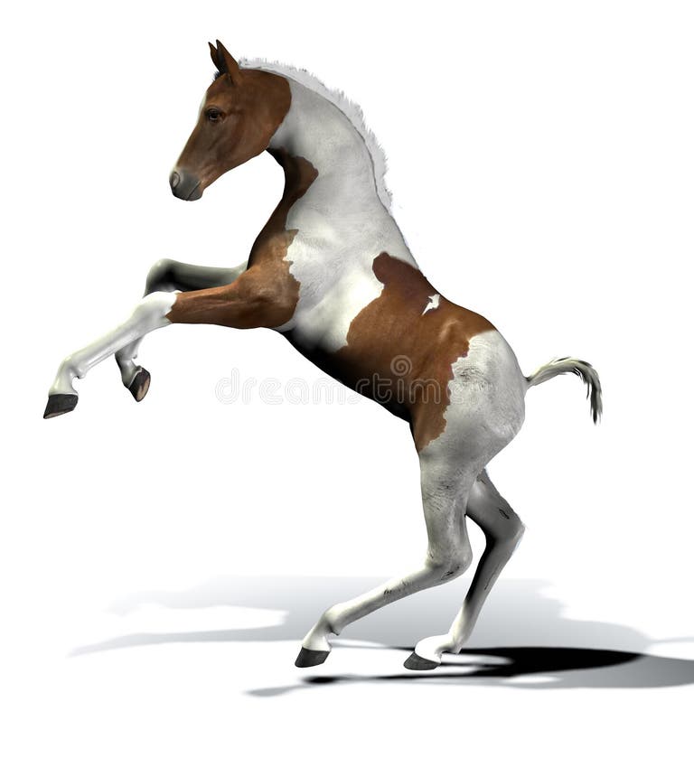 Prancing Stock Illustrations – 1,306 Prancing Stock Illustrations ...