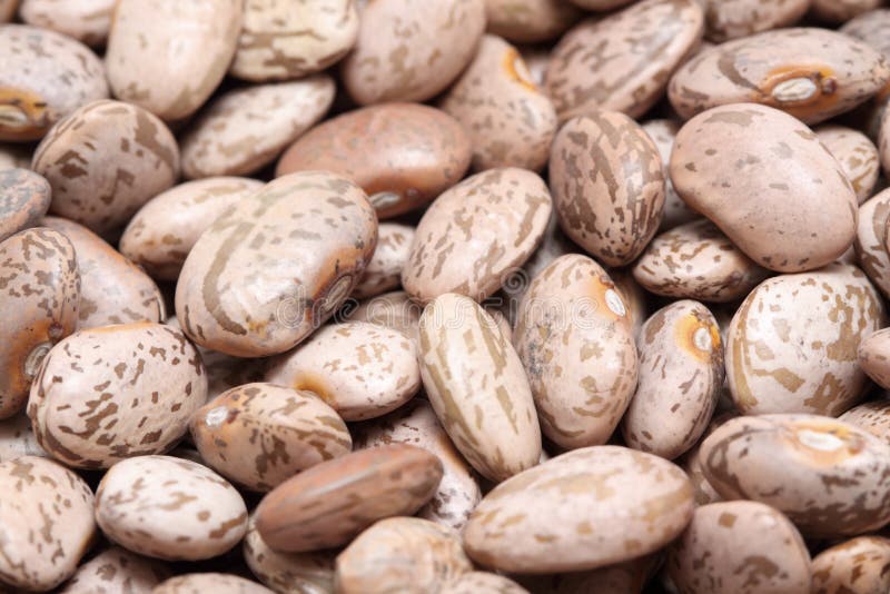 Pinto-Bohne stockfoto. Bild von gemüse, bestandteil, bohne - 9914252