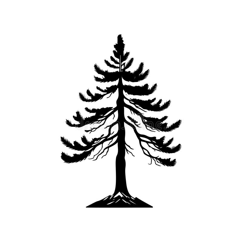 Pinus Strobus Icon Hand Draw Black Colour Tree Day Logo Symbol Perfect ...