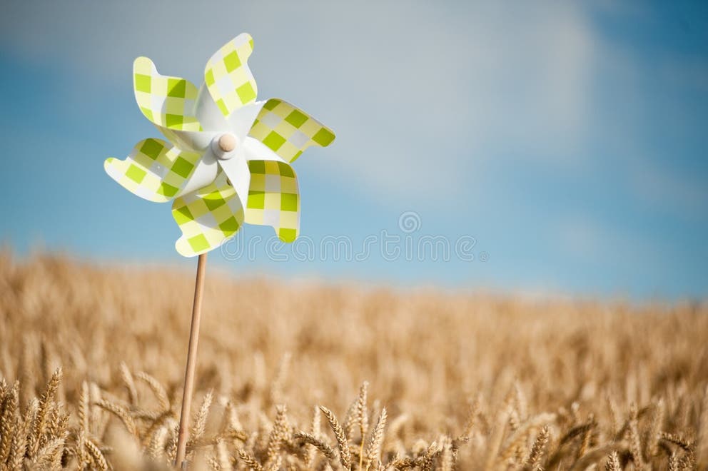 Pinwheel in a field stock photo. Image of colorful, decorative - 20704654
