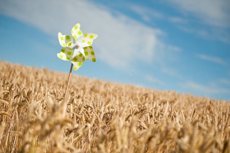 Pinwheel in a field stock image. Image of detail, grass - 20704659