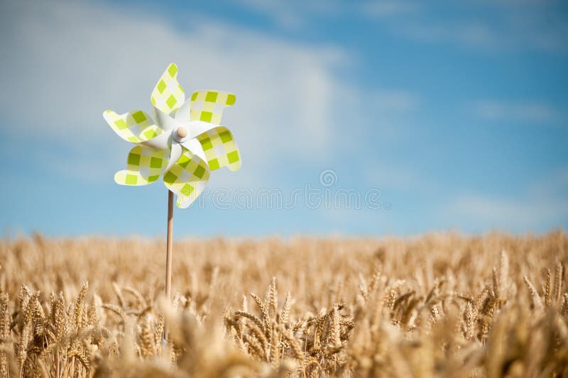 Pinwheel in a field stock photo. Image of orange, pinwheel - 20704664