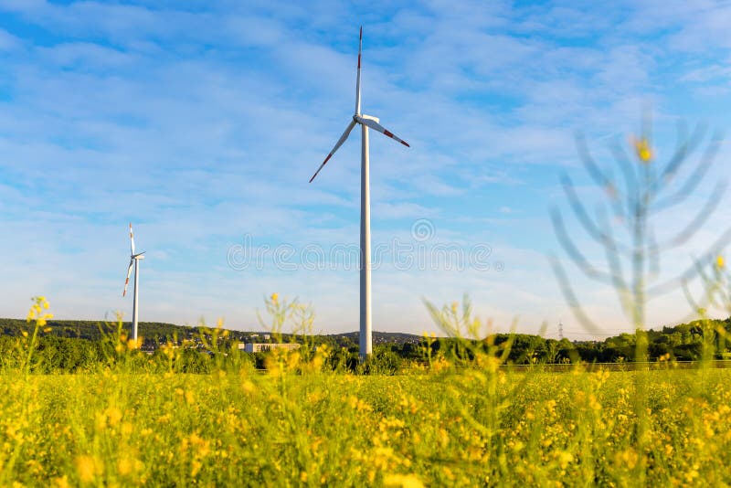 Pinwheels on a Field with Blue Sky Stock Photo - Image of price ...