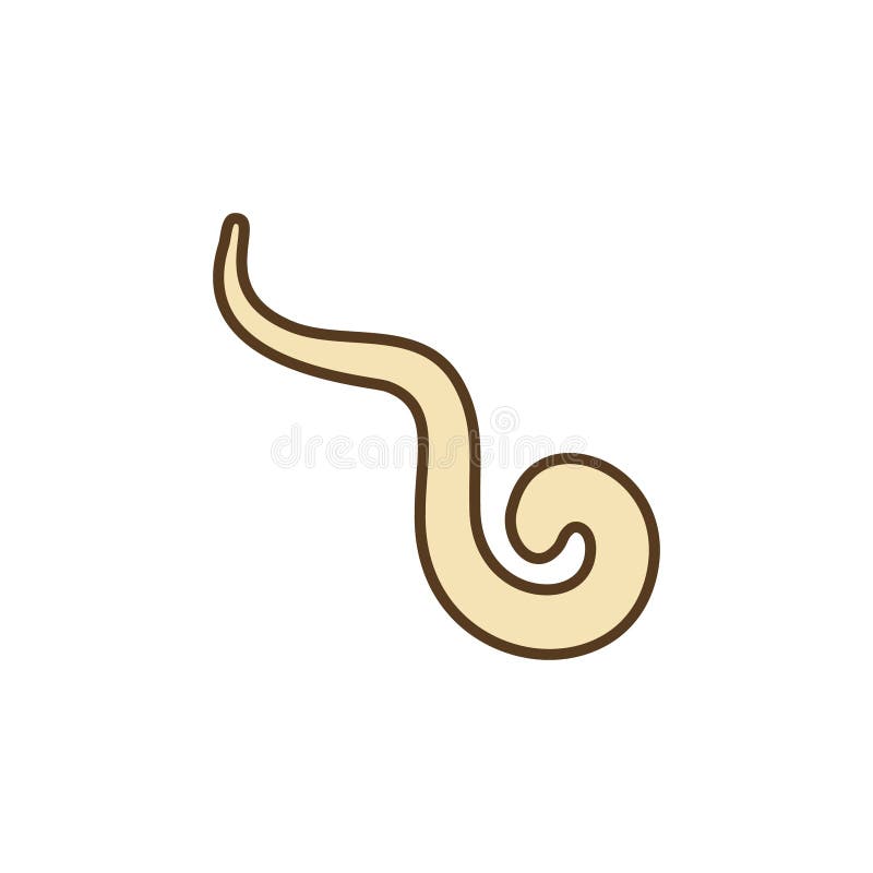 Pinworm Vector Concept Colored Icon or Sign Stock Illustration ...