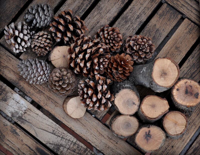 Pinyon Pine Cones and Diagonal Timbers Stock Image - Image of pinyon ...