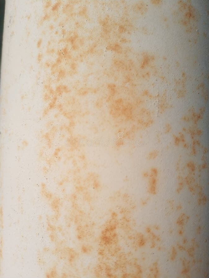 Pip White Ruster Stock Photos - Free & Royalty-Free Stock Photos from ...