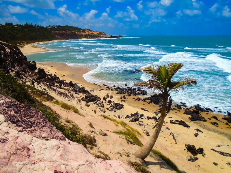 Pipa Beach in Brazil stock image. Image of beach, america - 74454233