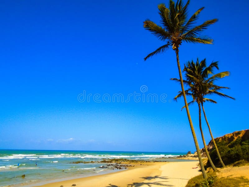 Pipa Beach in Brazil stock photo. Image of summer, summertime - 74454156