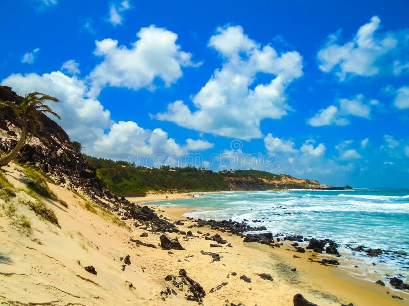 Pipa Beach in Brazil stock image. Image of pipa, summertime - 75385345
