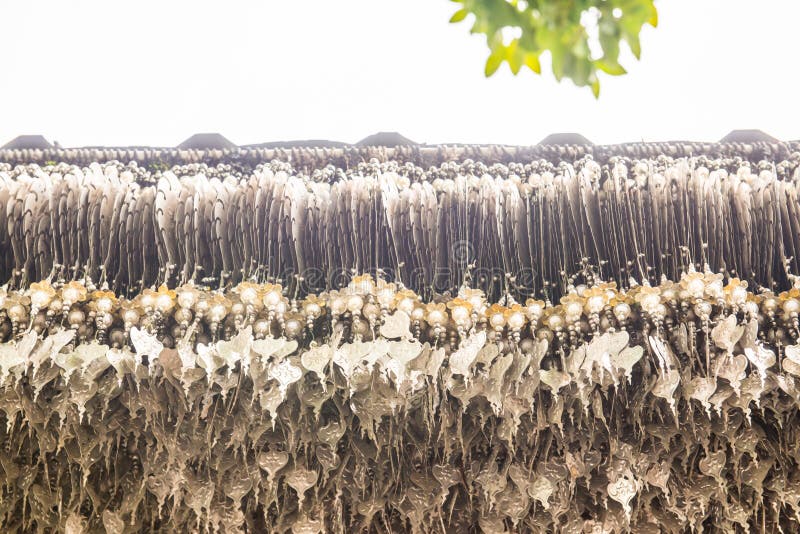 Pipal Leaf Model for Worship Stock Image - Image of closeup, pipal ...