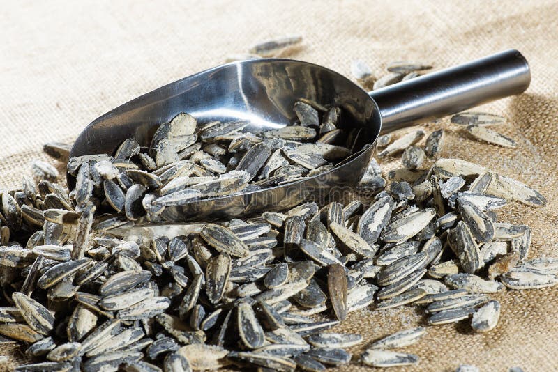 Pipas Salted Sunflower Stock Photos - Free & Royalty-Free Stock Photos ...