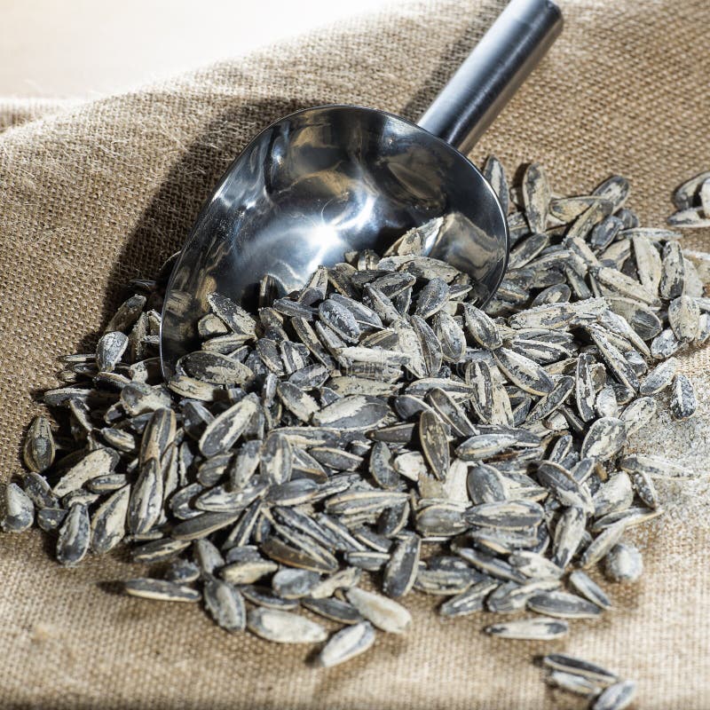 Pipas salted sunflower stock photo. Image of food, growth - 59694038