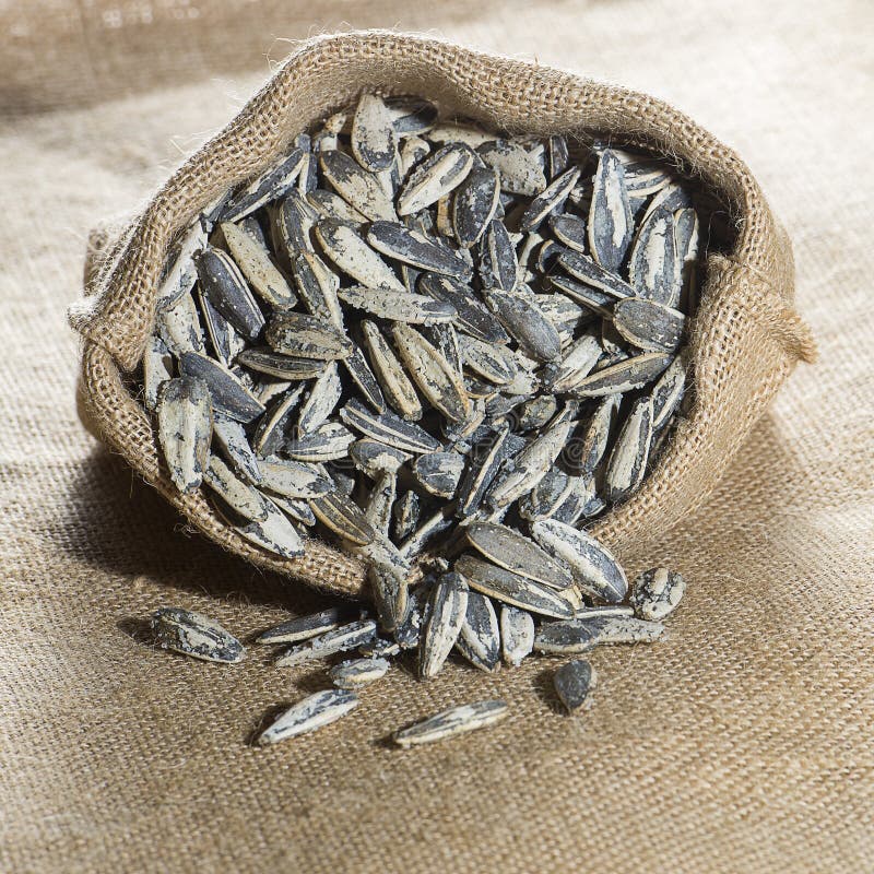 Pipas Salted Sunflower on Sack Stock Image - Image of agriculture ...